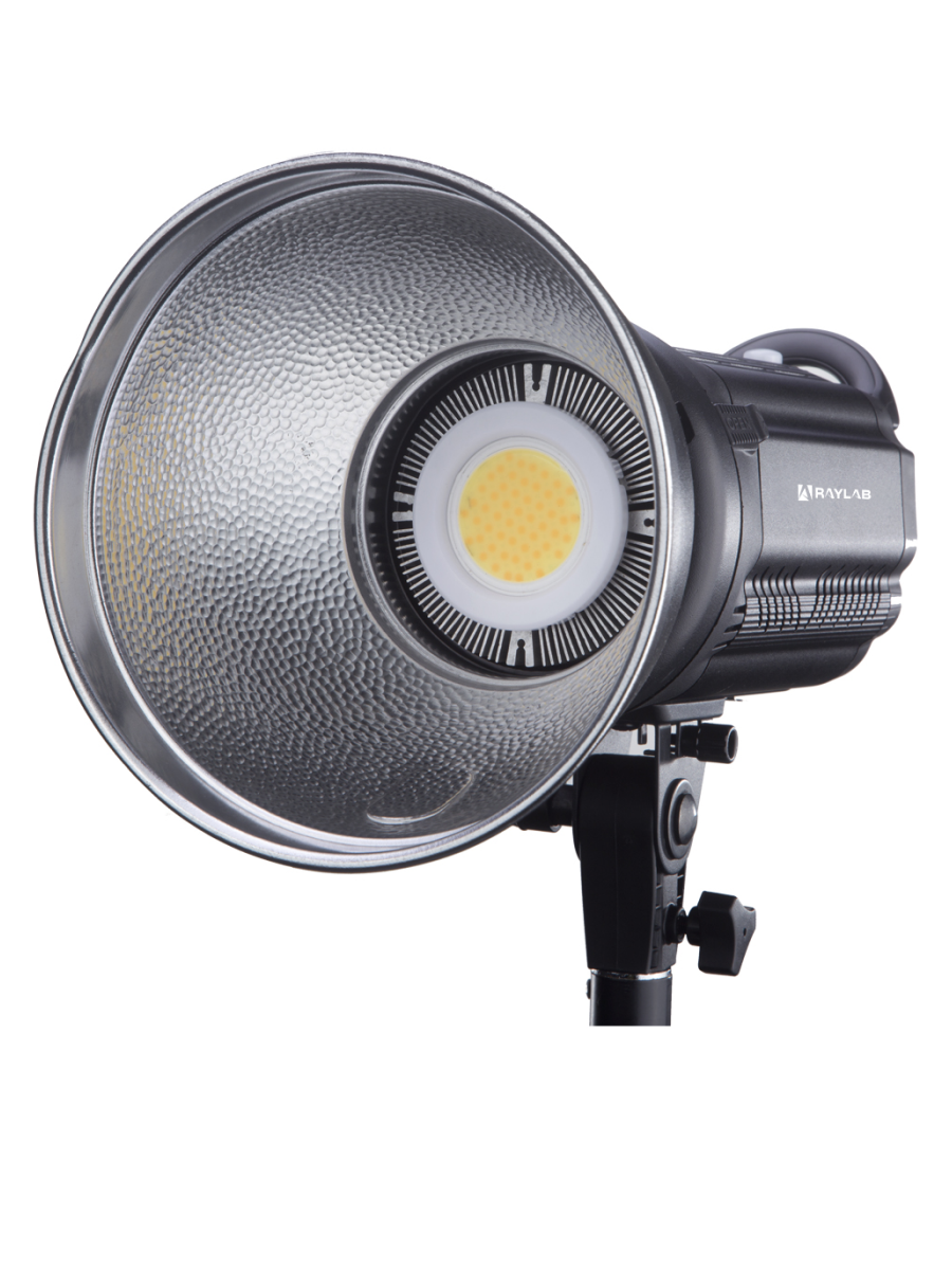 Осветитель светодиодный Raylab RL-100 Sunlight 3200-6500K - купить по ...